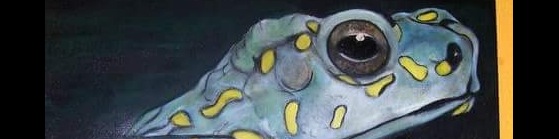 Keks - Malerei- und Zeichenkunst - kuenstlerstadt.de